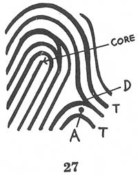 The Science of Fingerprints