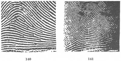 The Science of Fingerprints