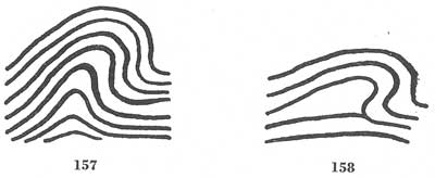 The Science of Fingerprints